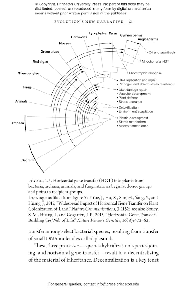 The Network of Life | Princeton University Press