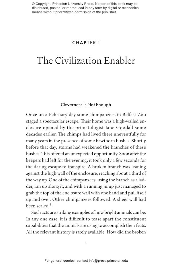 The Importance of Being Educable | Princeton University Press