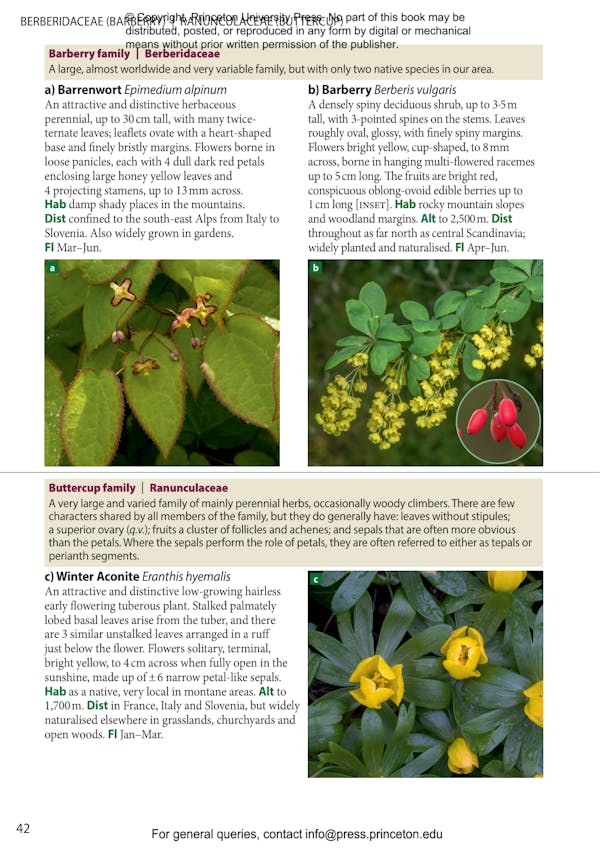 Europe's Alpine Flowers | Princeton University Press