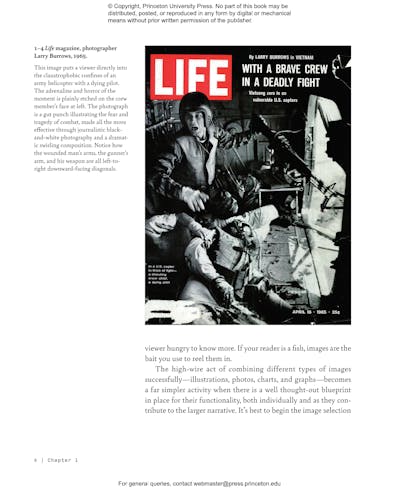 The Elements of Visual Grammar | Princeton University Press