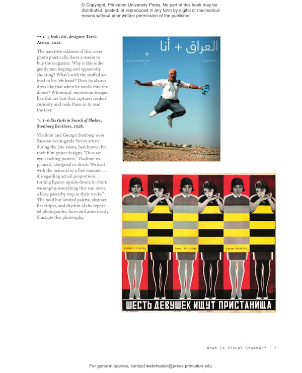 The Elements of Visual Grammar | Princeton University Press