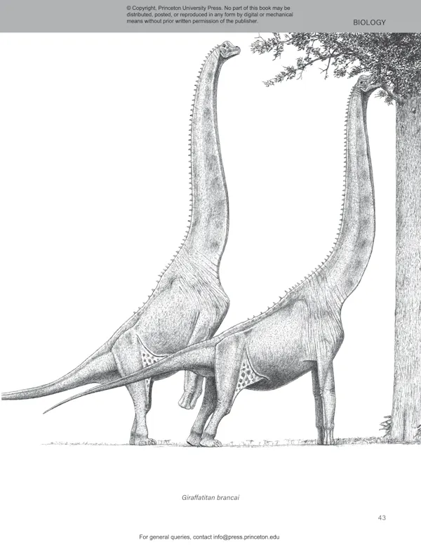 The Princeton Field Guide to Dinosaurs Third Edition | Princeton ...