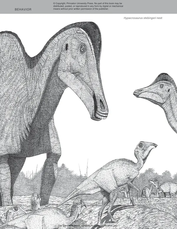 The Princeton Field Guide to Dinosaurs Third Edition | Princeton ...