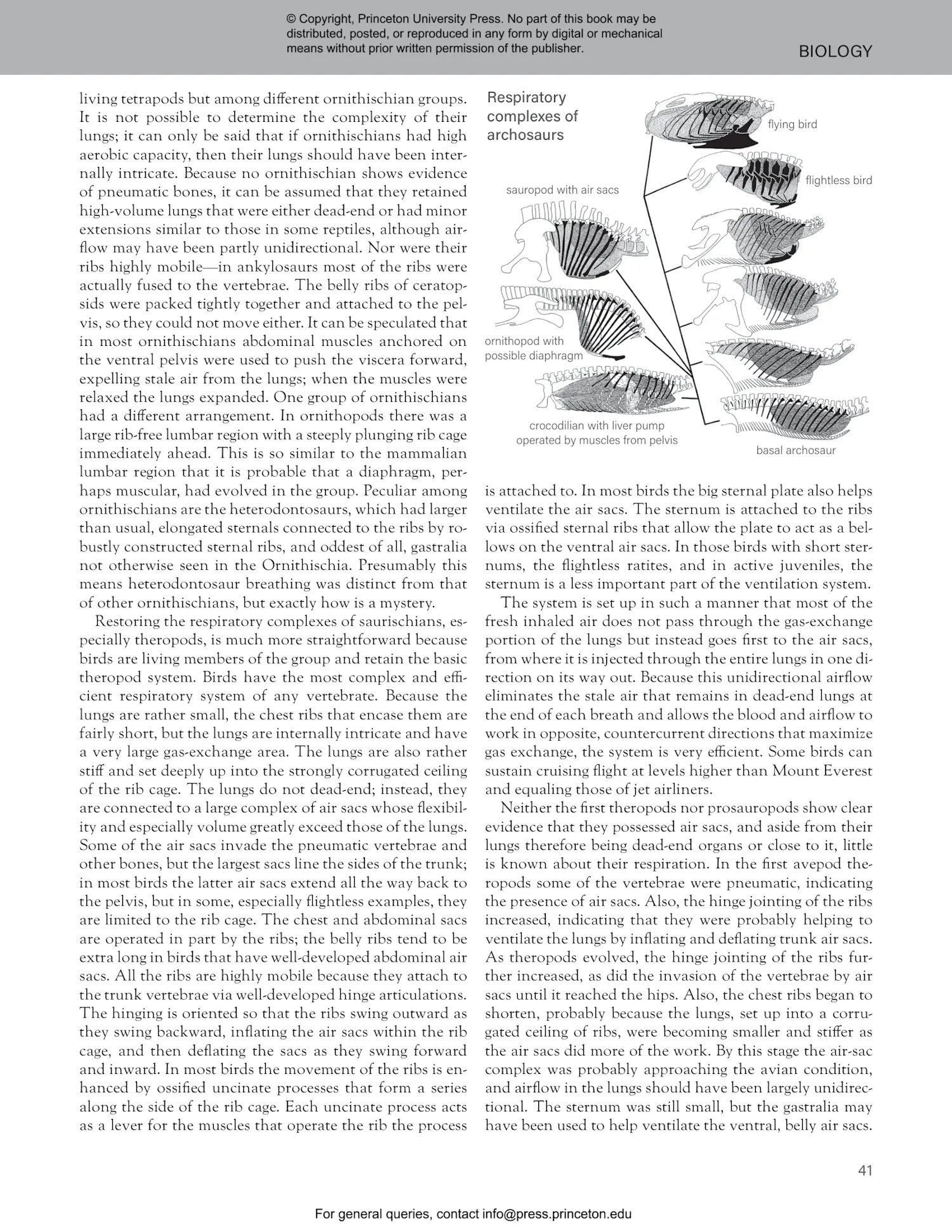 The Princeton Field Guide to Dinosaurs Third Edition | Princeton ...