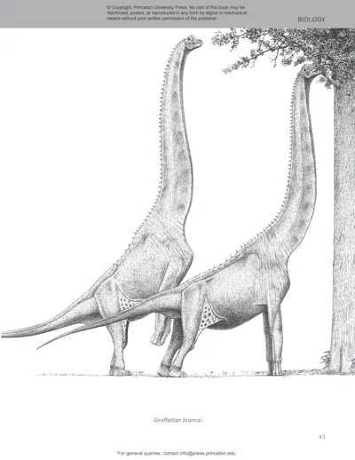 The Princeton Field Guide to Dinosaurs Third Edition | Princeton ...