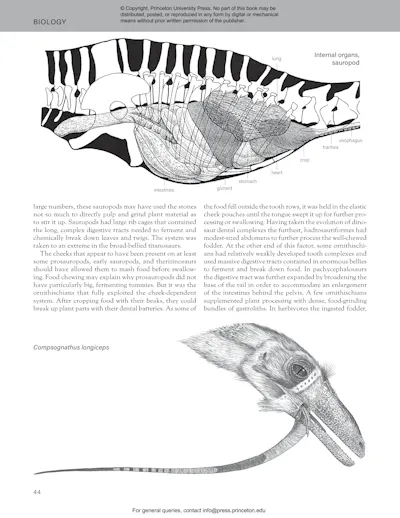 The Princeton Field Guide to Dinosaurs Third Edition | Princeton ...