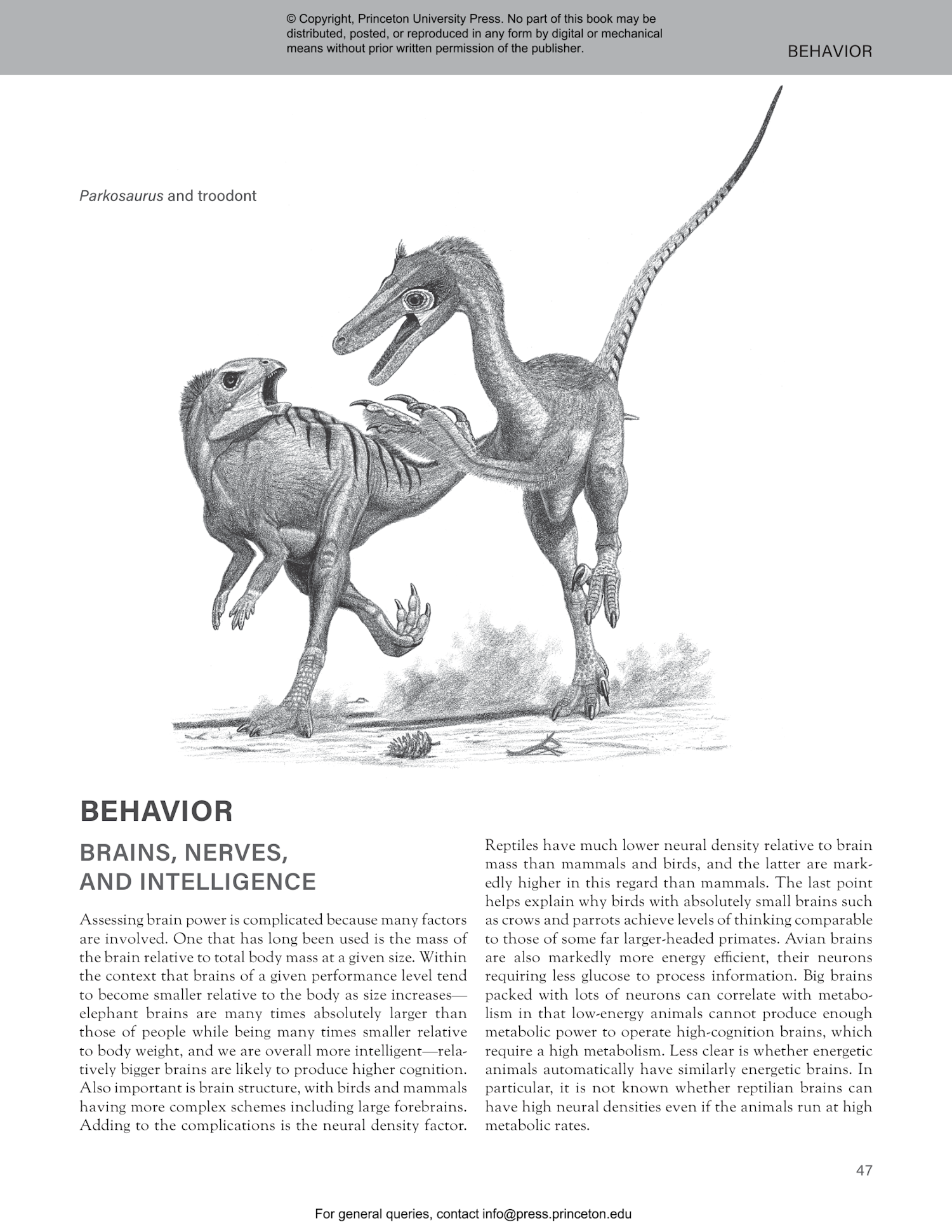 The Princeton Field Guide to Dinosaurs Third Edition | Princeton University Press