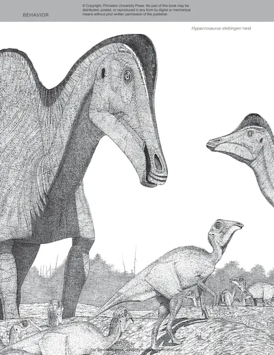 The Princeton Field Guide to Dinosaurs Third Edition | Princeton ...