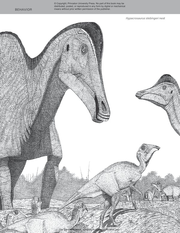 The Princeton Field Guide to Dinosaurs Third Edition | Princeton University Press