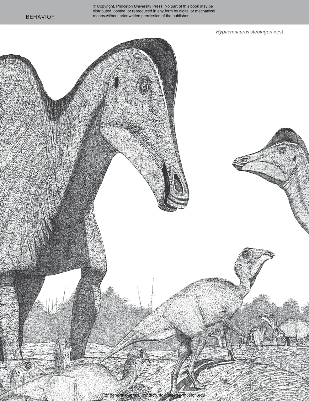 The Princeton Field Guide to Dinosaurs Third Edition | Princeton ...