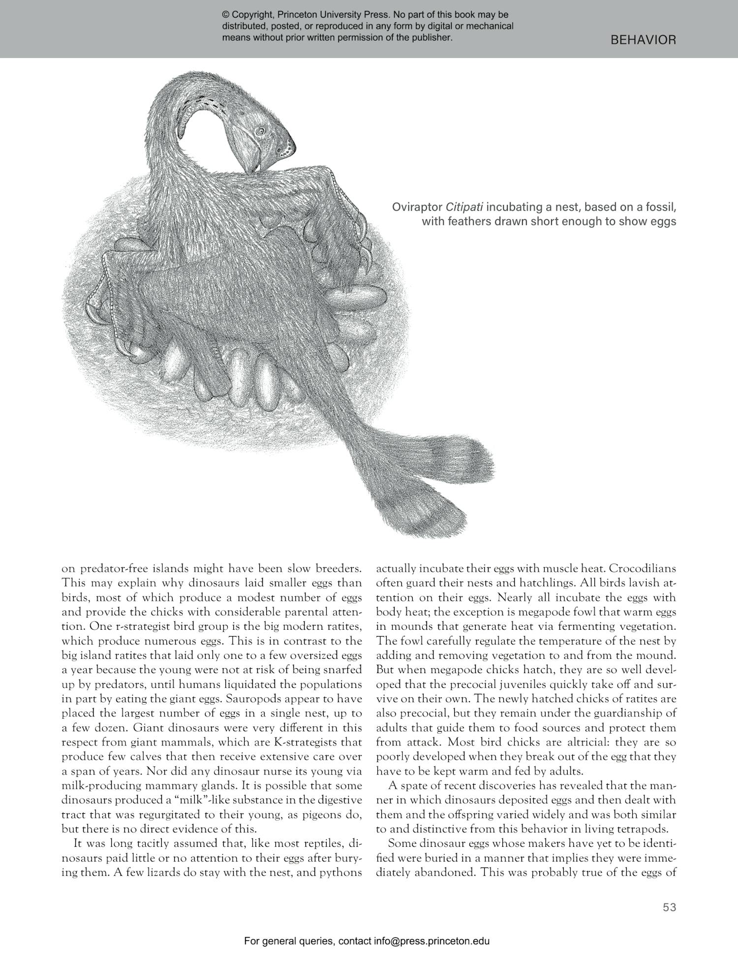 The Princeton Field Guide to Dinosaurs Third Edition | Princeton University Press