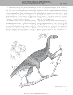 The Princeton Field Guide to Dinosaurs Third Edition | Princeton ...