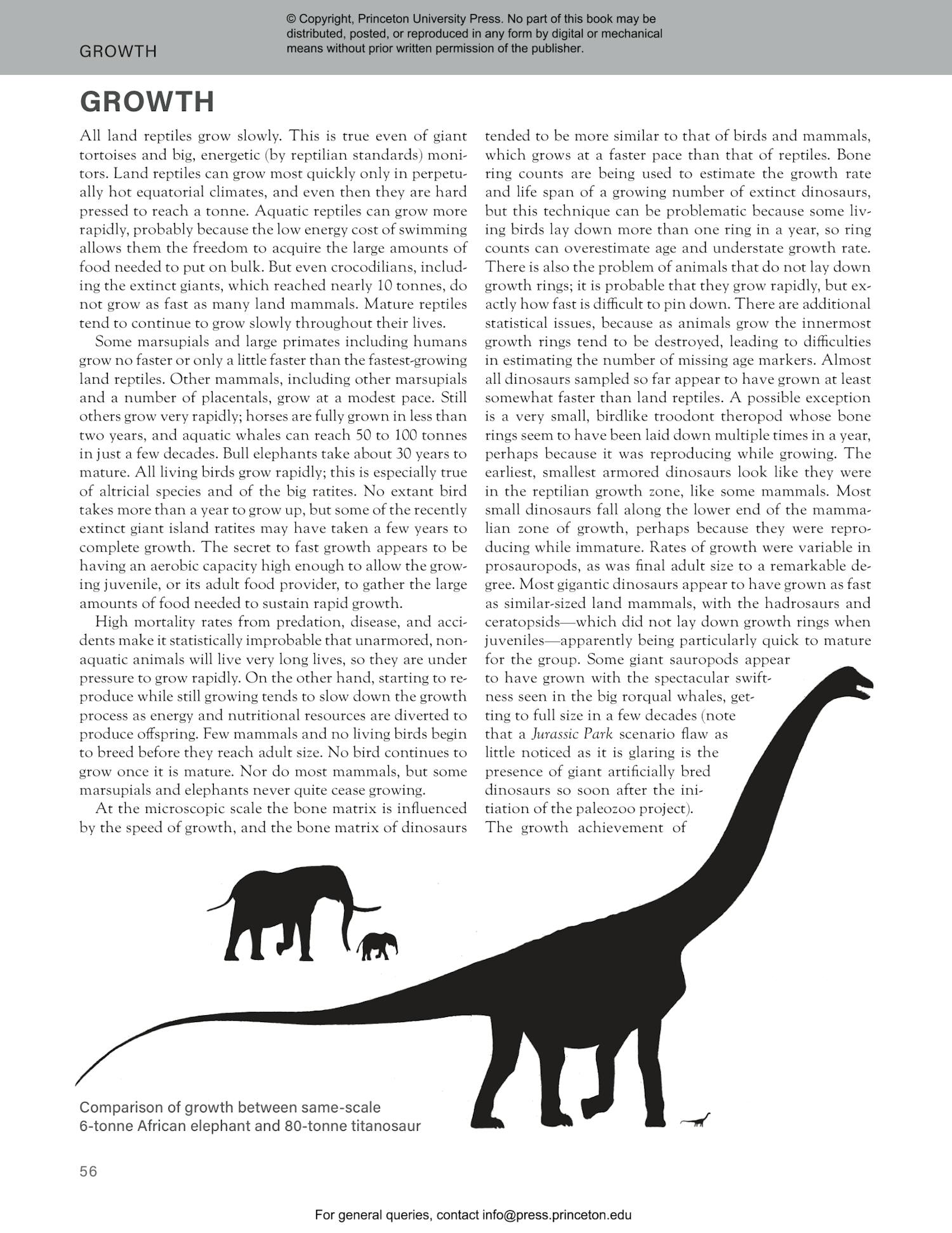 The Princeton Field Guide to Dinosaurs Third Edition | Princeton University Press