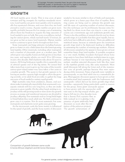 The Princeton Field Guide to Dinosaurs Third Edition | Princeton ...