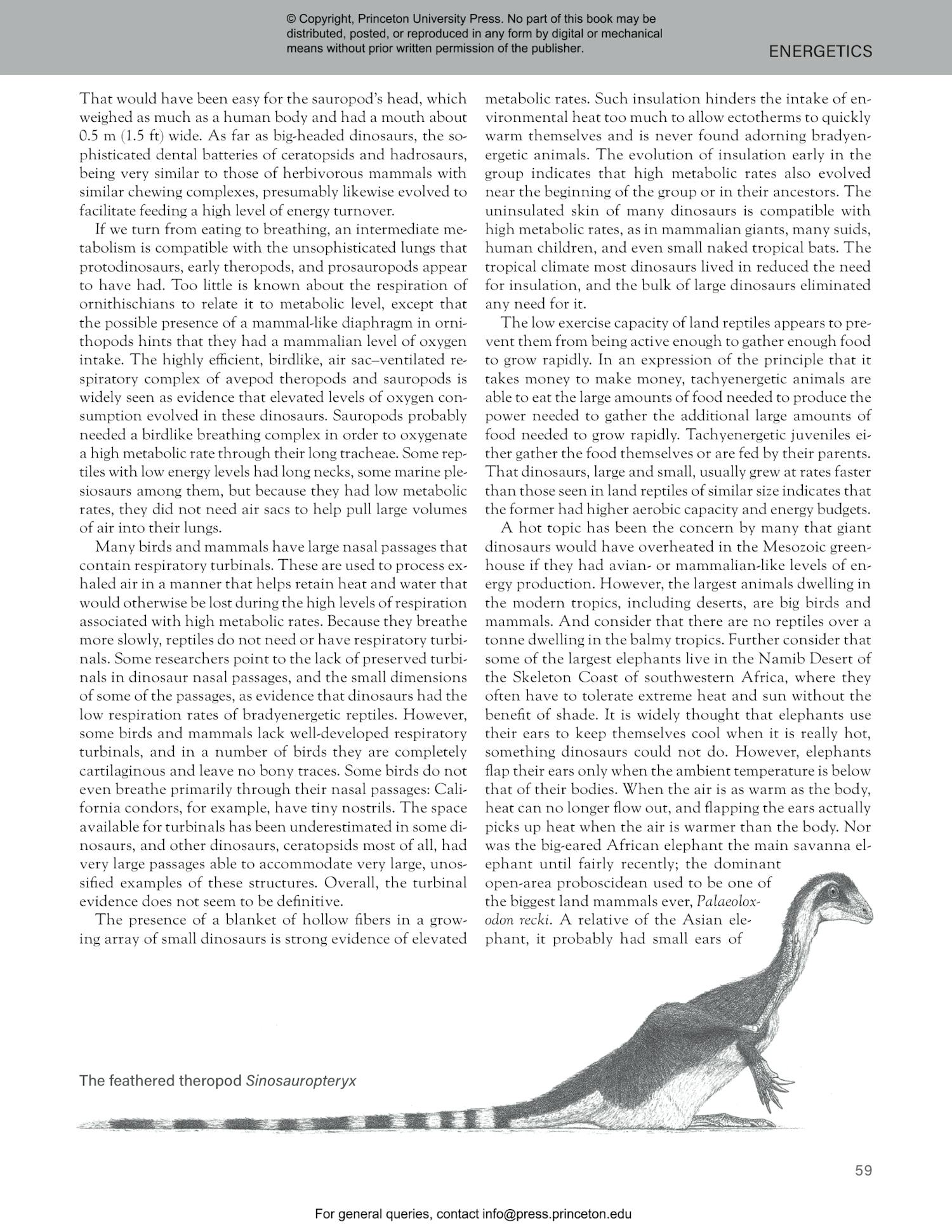 The Princeton Field Guide to Dinosaurs Third Edition | Princeton University Press