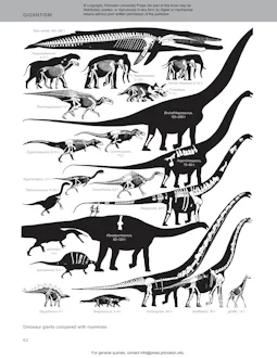The Princeton Field Guide to Dinosaurs Third Edition | Princeton ...