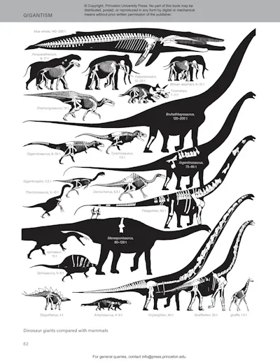 The Princeton Field Guide to Dinosaurs Third Edition | Princeton ...