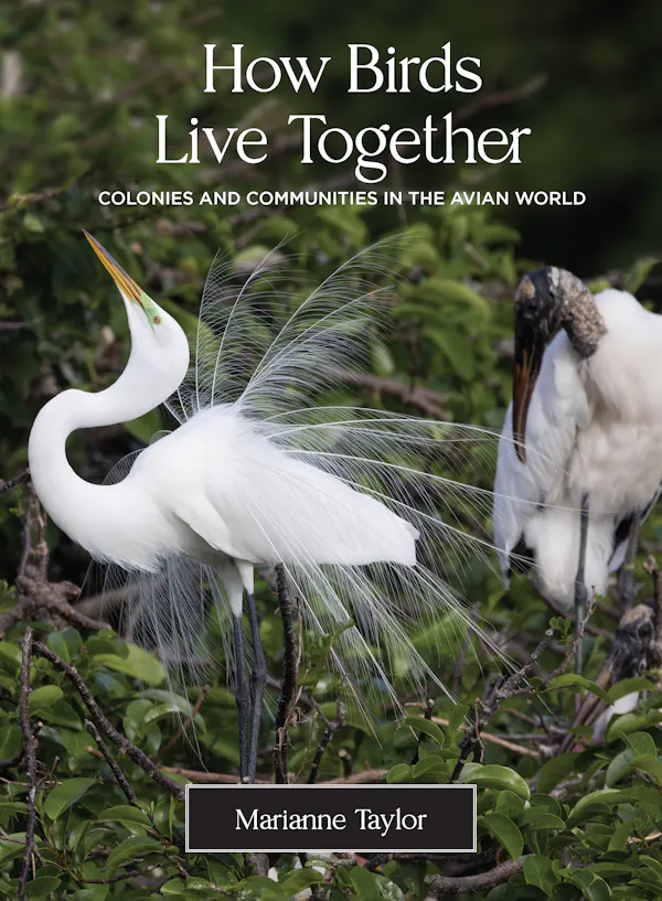 Birds of Central America | Princeton University Press