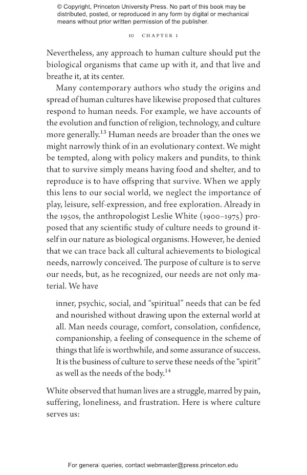 Wonderstruck | Princeton University Press