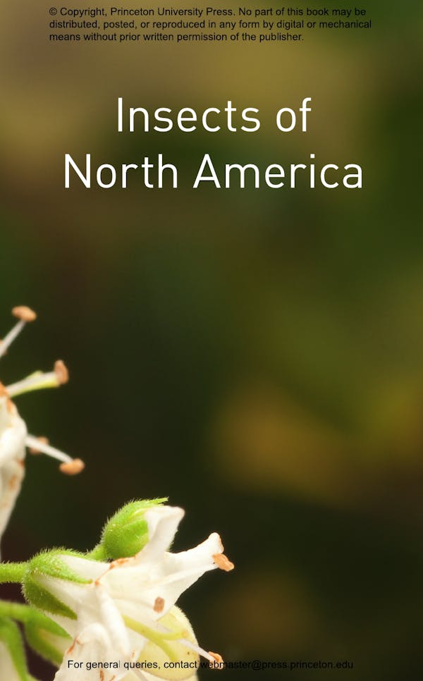 Insects of North America | Princeton University Press