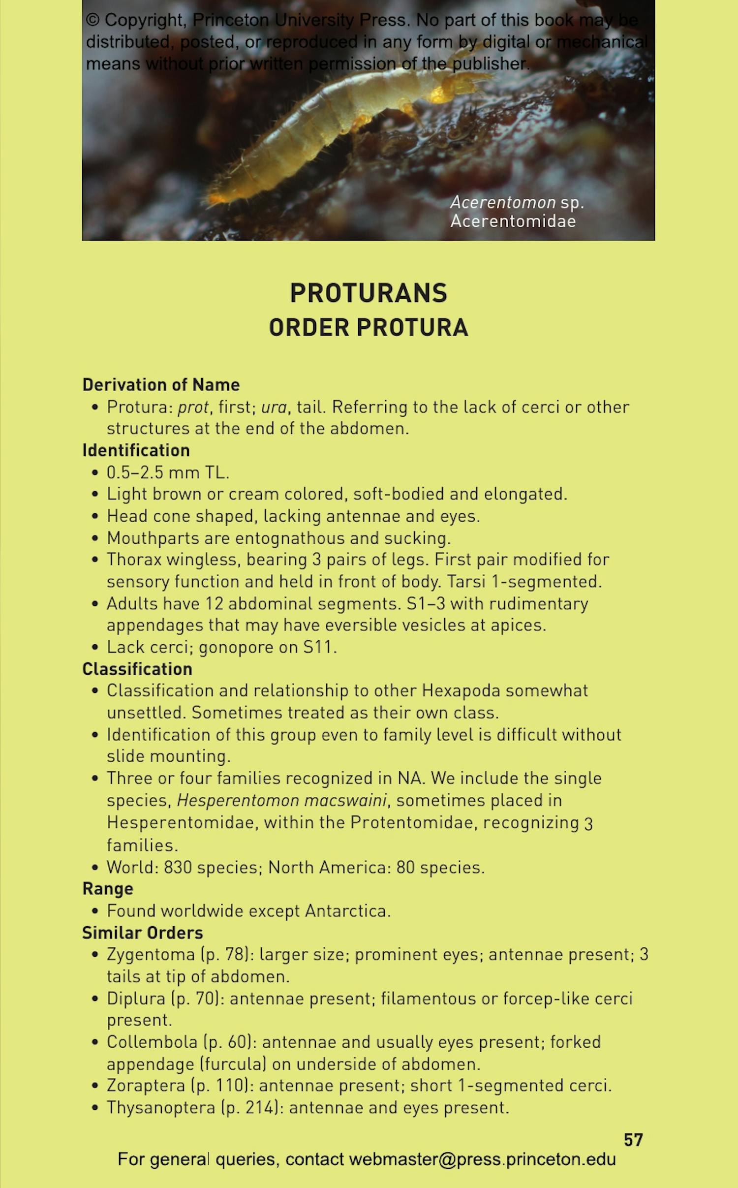 Insects of North America | Princeton University Press