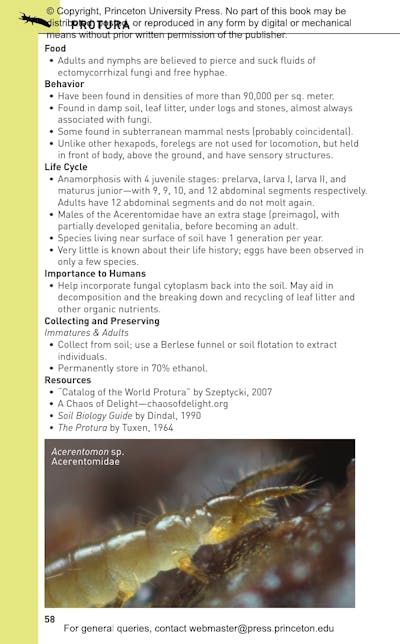 Insects of North America | Princeton University Press