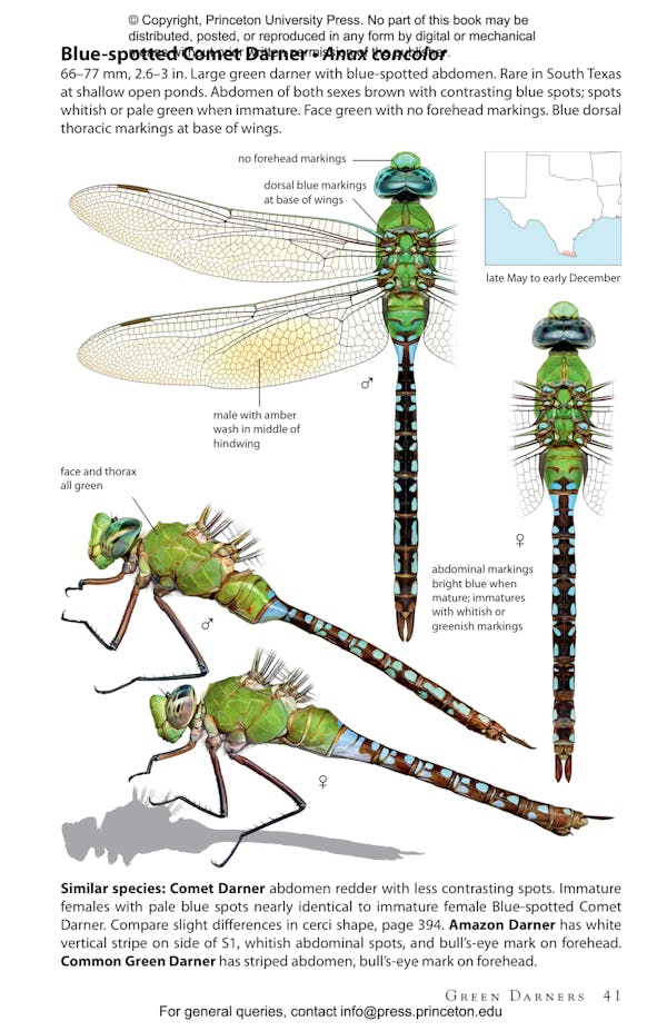 Dragonflies of North America | Princeton University Press