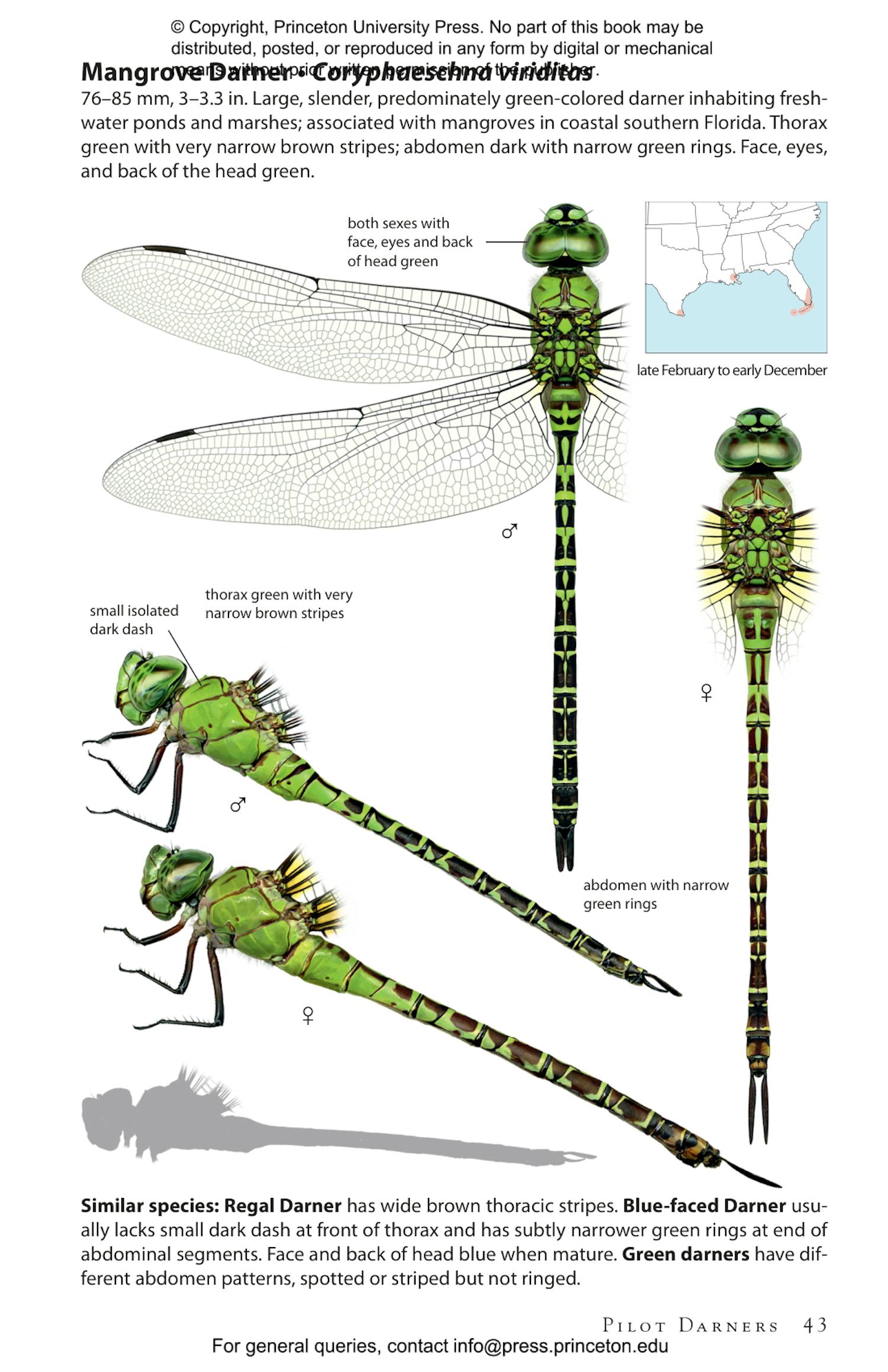 Dragonflies of North America | Princeton University Press