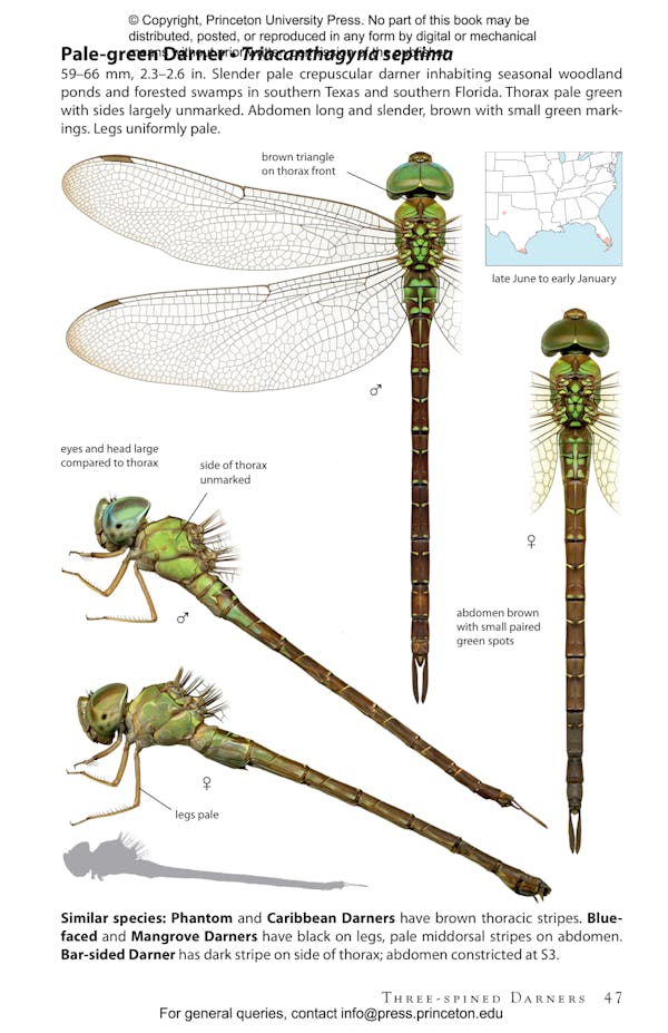 Dragonflies of North America | Princeton University Press