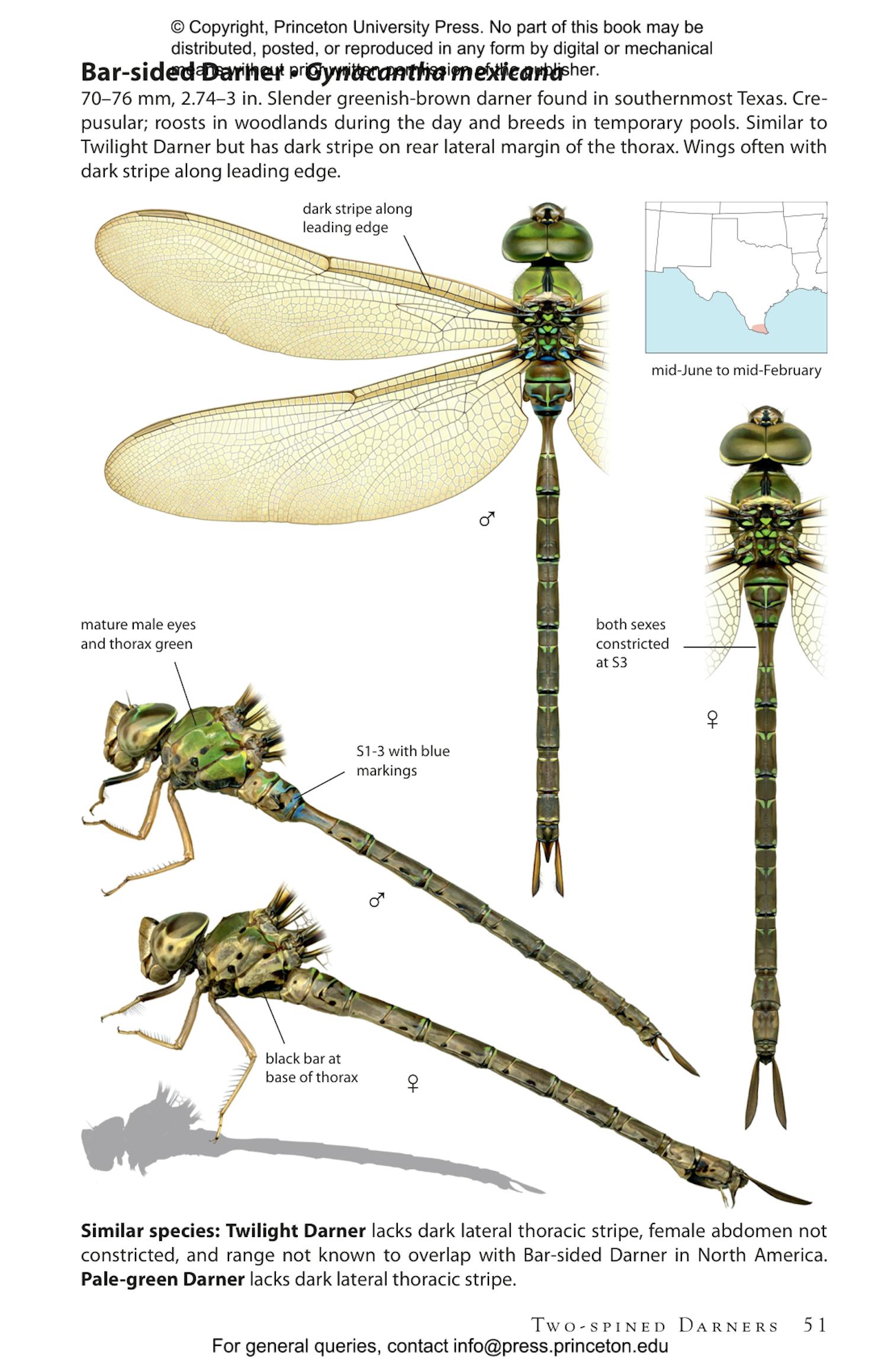 Dragonflies of North America | Princeton University Press