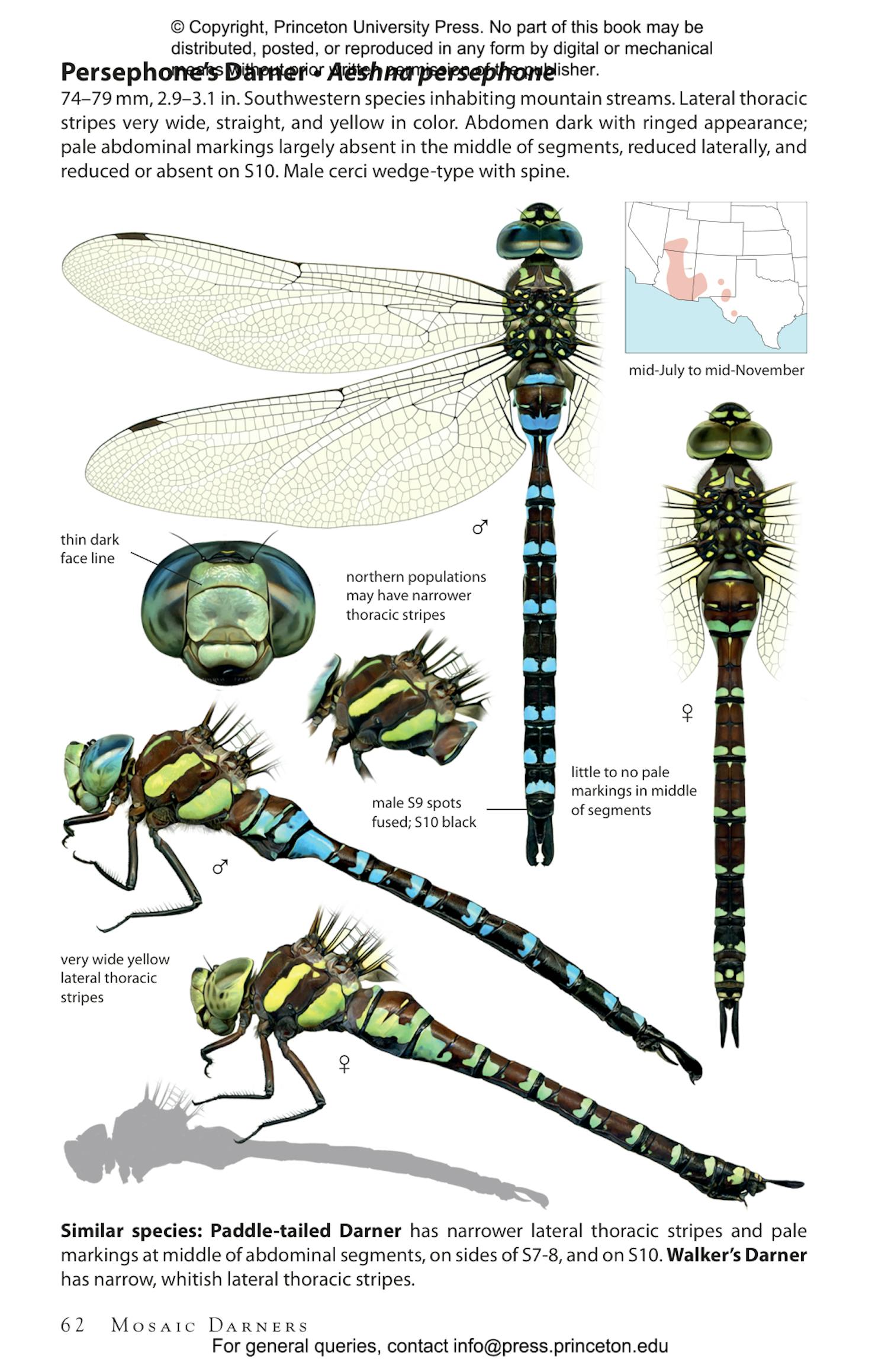 Dragonflies of North America | Princeton University Press