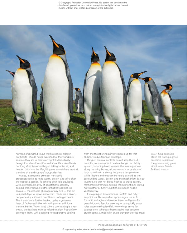 Penguins | Princeton University Press