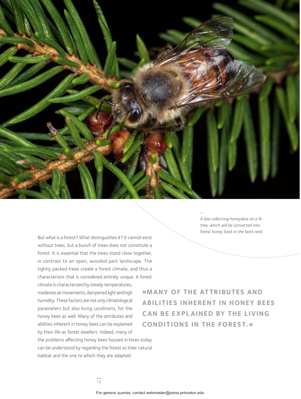 Wild Honey Bees | Princeton University Press