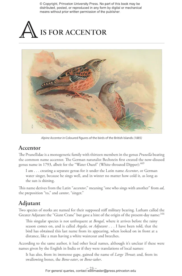 The Bird Name Book | Princeton University Press