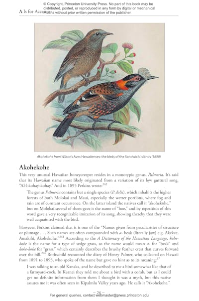 The Bird Name Book | Princeton University Press