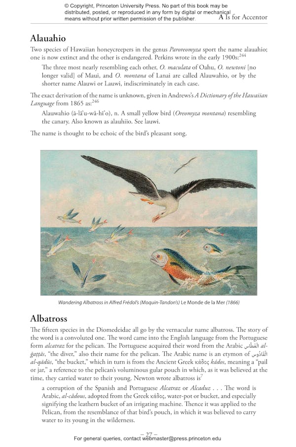 The Bird Name Book | Princeton University Press