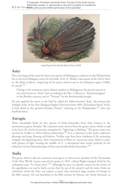 The Bird Name Book | Princeton University Press