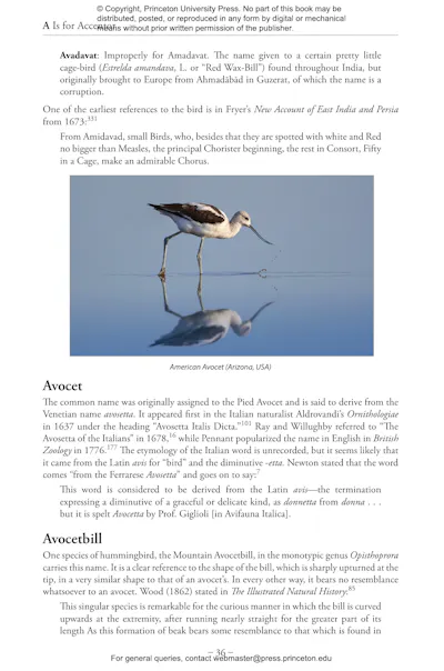 The Bird Name Book | Princeton University Press