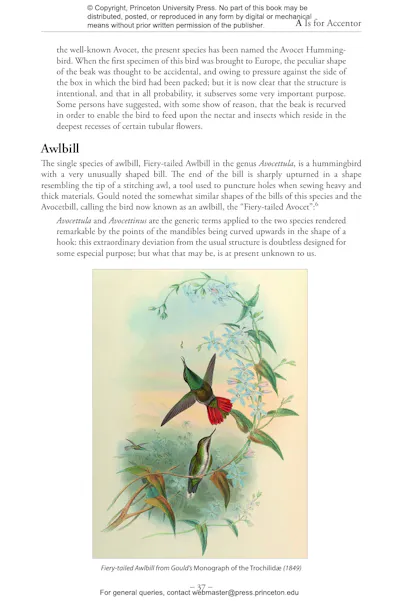 The Bird Name Book | Princeton University Press