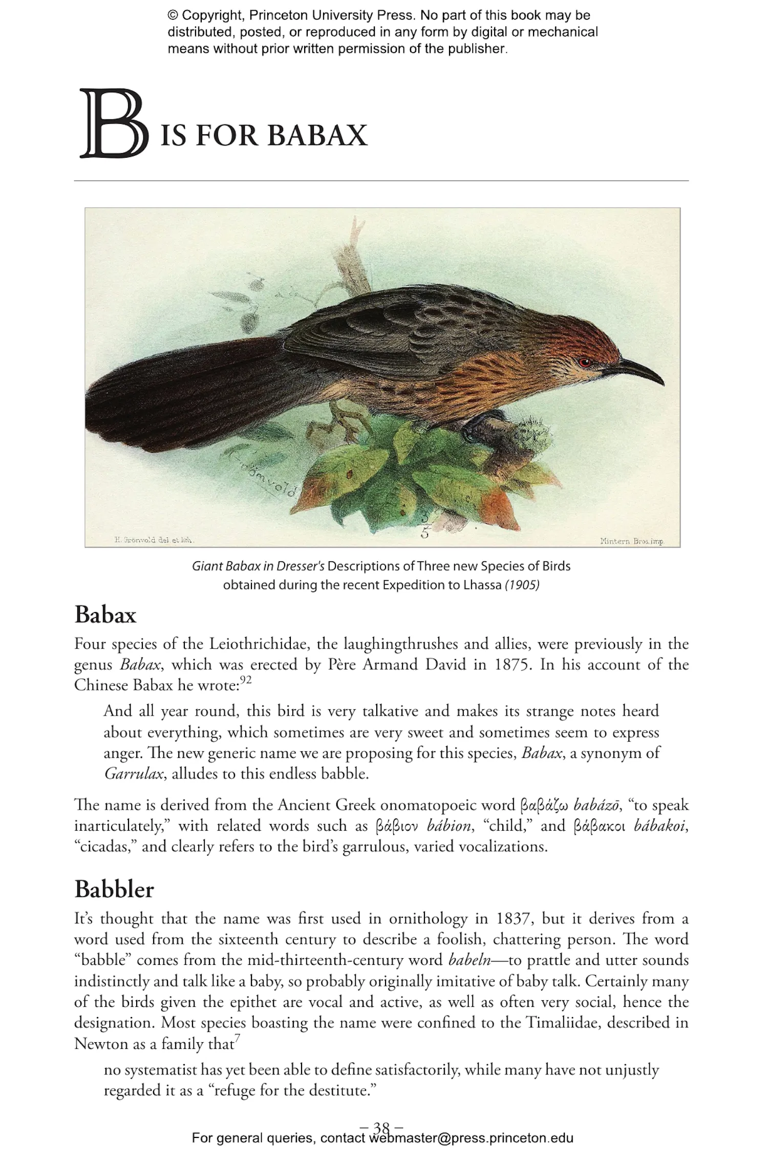 The Bird Name Book | Princeton University Press