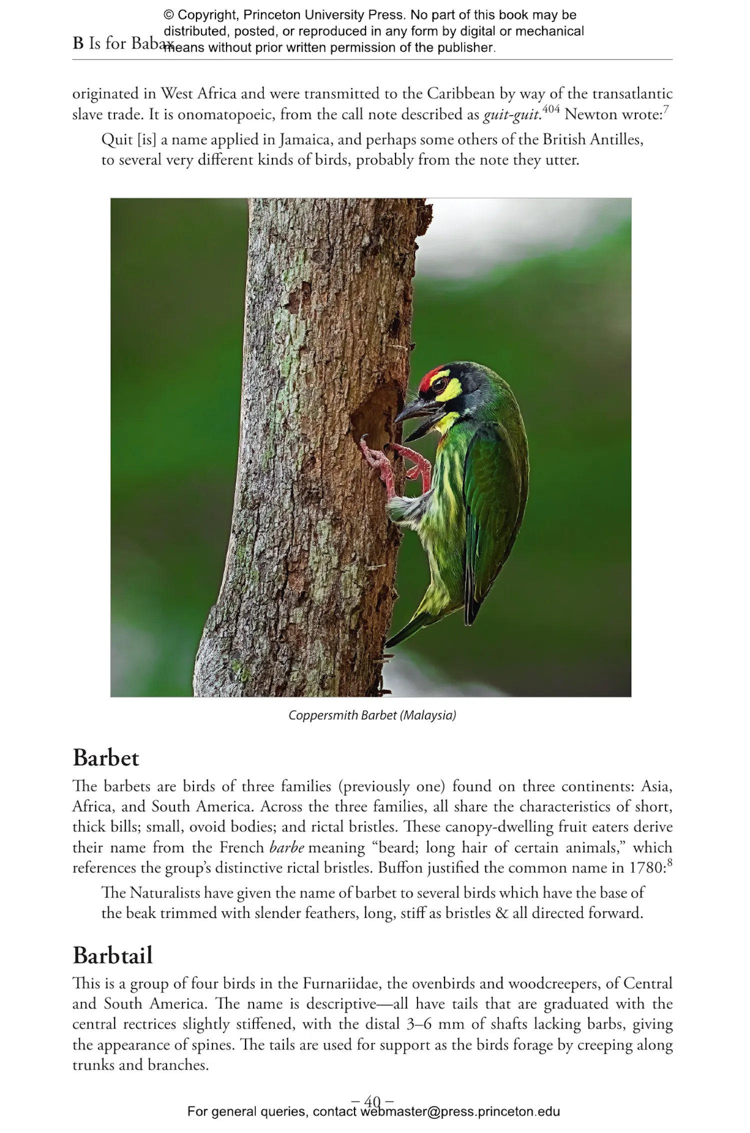The Bird Name Book | Princeton University Press
