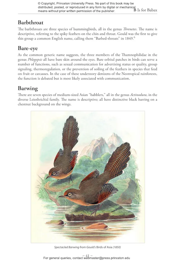 The Bird Name Book | Princeton University Press