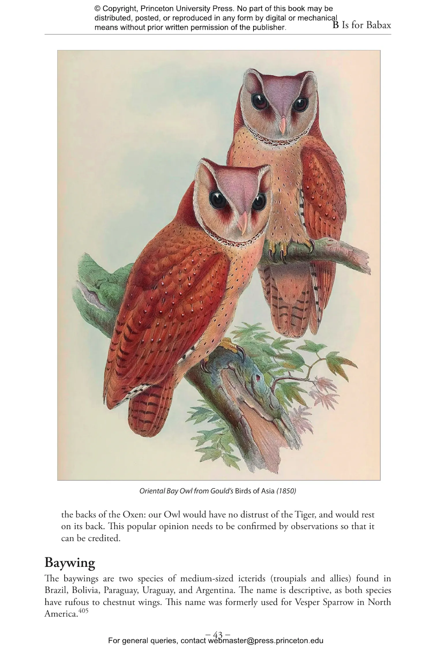 The Bird Name Book | Princeton University Press