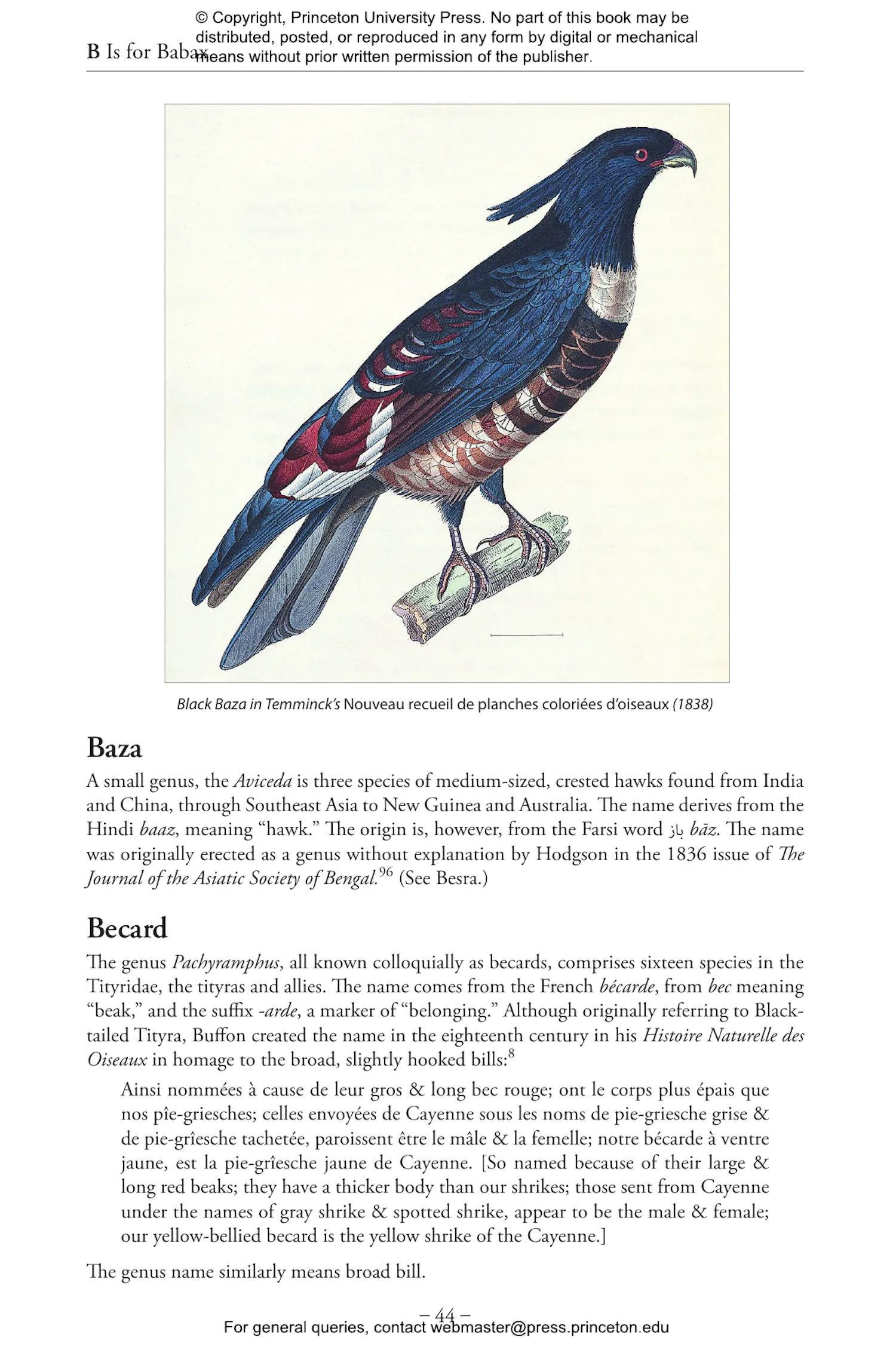 The Bird Name Book | Princeton University Press