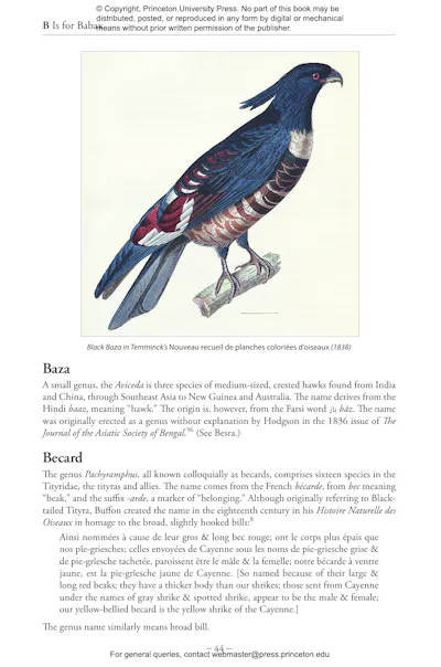The Bird Name Book | Princeton University Press