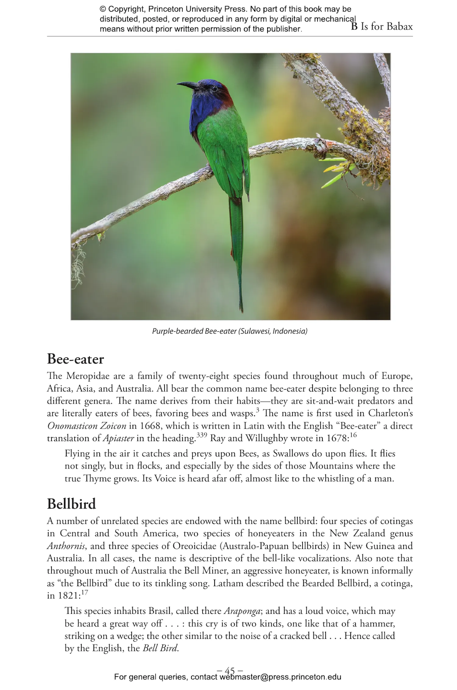 The Bird Name Book | Princeton University Press