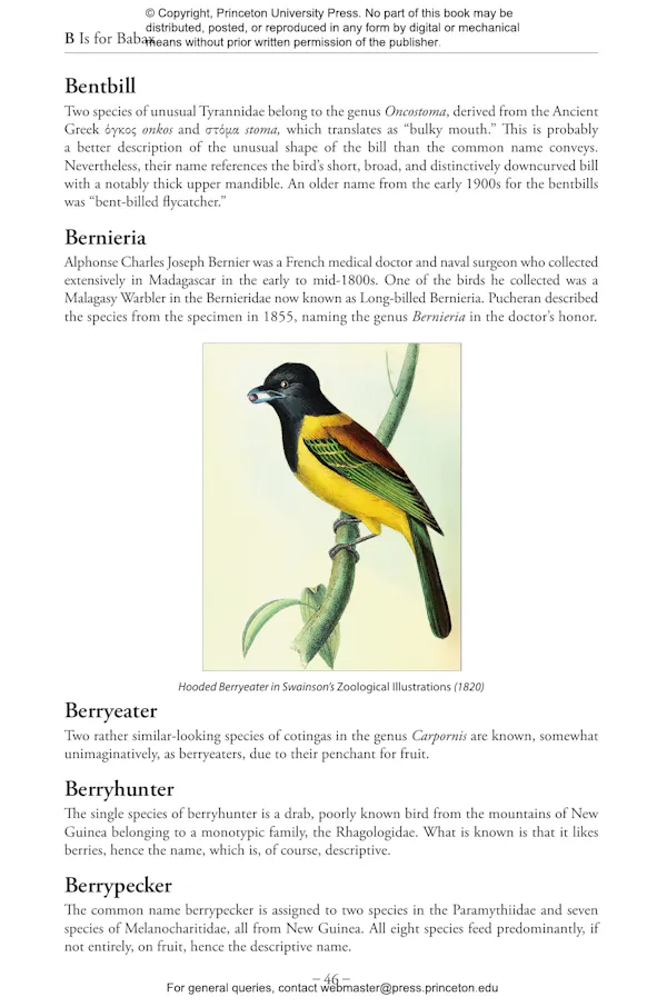 The Bird Name Book | Princeton University Press