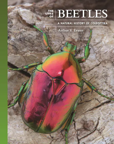 The Lives of Beetles | Princeton University Press