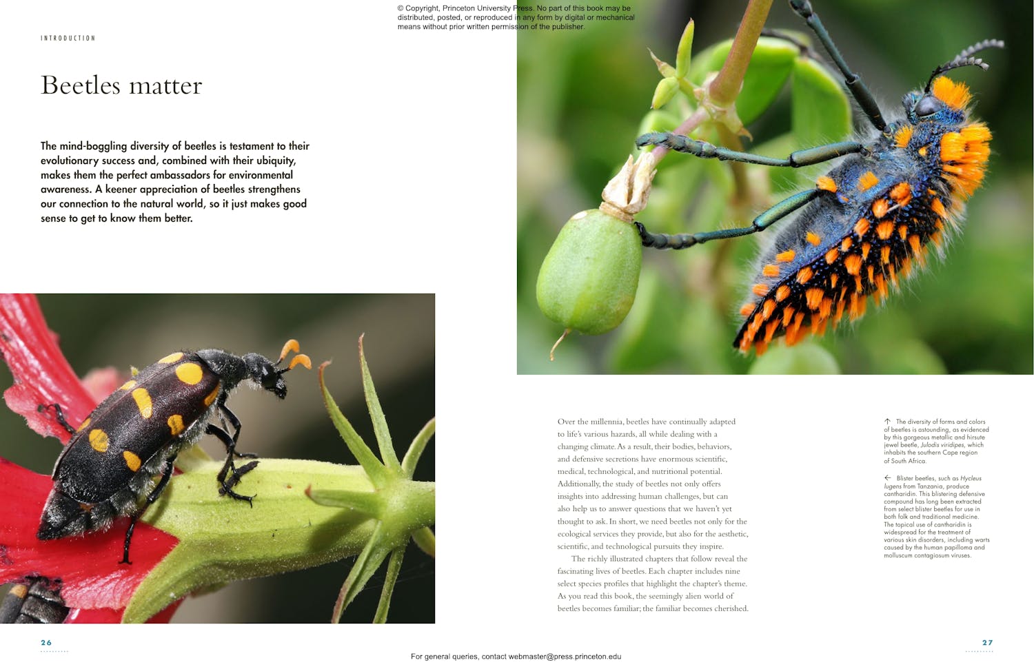 The Lives of Beetles | Princeton University Press