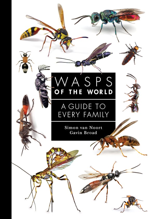 The wonderful world of wasps | Princeton University Press